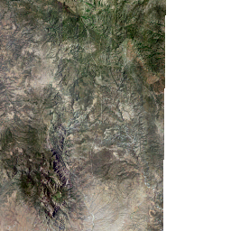 ArcGIS Web Application